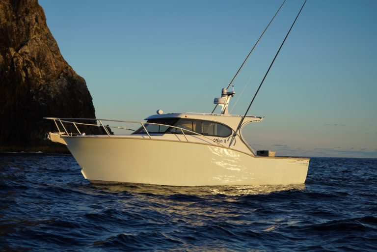 Gen3 35 Inboard Boats for Sale NZ | Makaira Boats